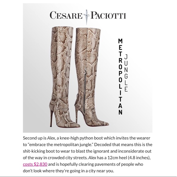 Cesare Paciotti | Shoes | Cesare Paciotti Pitone Roccia Snake Boots 39 ...